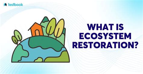 What Is Ecosystem Restoration Check Detailed Answer Definition