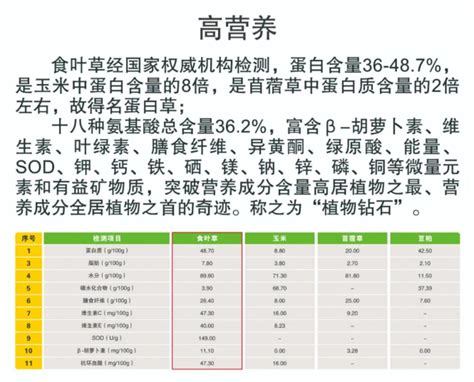 食叶草丨天降元宝地生金以草代粮海果行 知乎