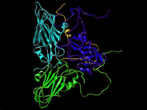 Pdb 101 Learn Guide To Understanding Pdb Data Biological Assemblies