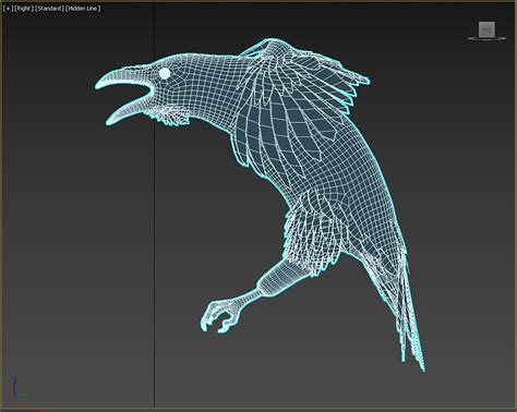 Artstation Raven Game Assets