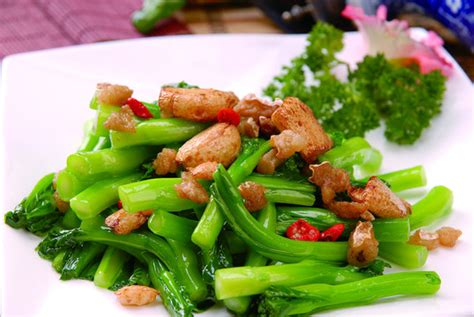 油淋菜心图片素材 油淋菜心设计素材 油淋菜心摄影作品 油淋菜心源文件下载 油淋菜心图片素材下载 油淋菜心背景素材 油淋菜心模板下载 搜索中心