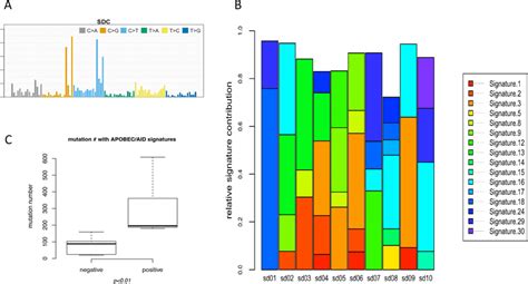 Mutational Signature Analysis Of Sdc A Mutational Signature Analysis