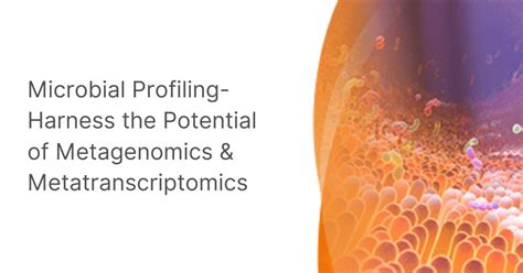 Microbial Profiling Harness The Potential With Metagenomics And
