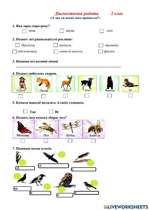Діагностична робота 4 ЯДС Worksheet Live Worksheets