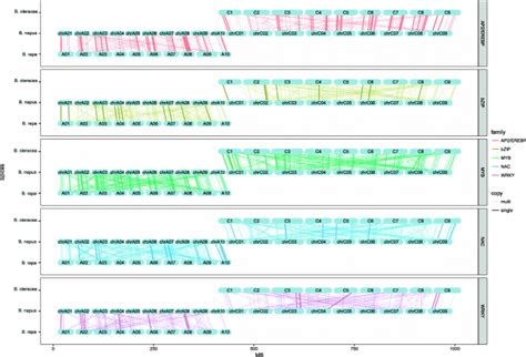 Exploring Transcription Factors Reveals Crucial Members And Regulatory Networks Involved In