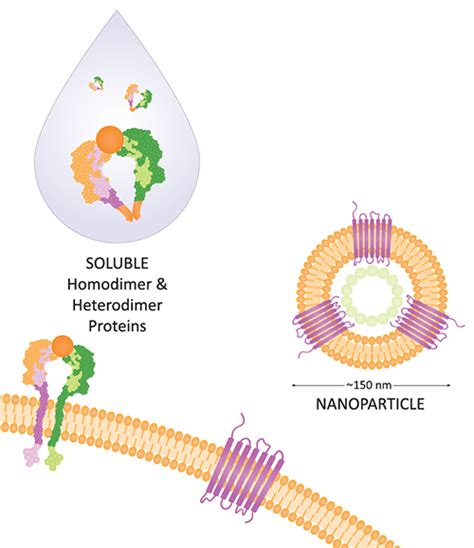 Sample Request Conigen Bioscience