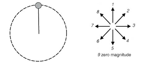 Solved 5 Consider A Ball On A Fixed Length String Being