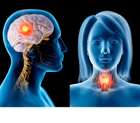 New Hpv Associated Head And Neck Classification May Help Tailor Treatment Applied Radiation