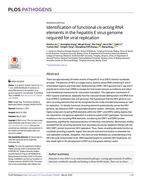 Pdf Identification Of Functional Cis Acting Rna Elements In The