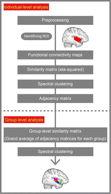 The Procedure For The Functional Connectivity Based Parcellation Of The Download Scientific
