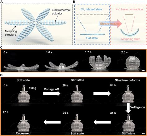 Shape Transformations And Stiffness Tuning Ability Of The Download