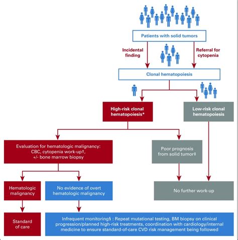 Managing Clonal Hematopoiesis In Patients With Solid Tumors Abstract