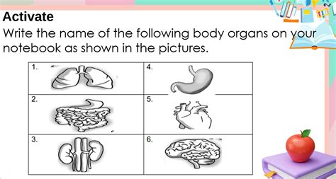 Activate Write The Name Of The Following Body Studyx