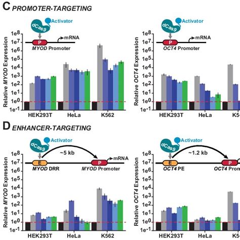 Dcas9 Based Transcriptional Activators Display Variable Expression And Download Scientific