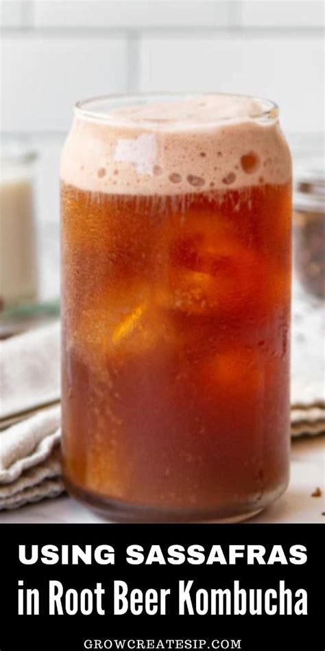 Using Sassafras In Root Beer Kombucha In 2024 Kombucha Recipe