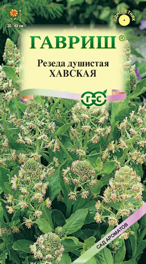 Семена Резеда душистая Хавская, 0,05г, Гавриш, Сад ароматов по цене 34 ...