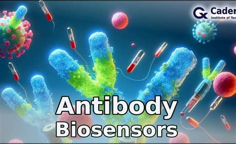 How Can We Enhance The Sensitivity Of Antibody Biosensors Cademix Institute Of Technology