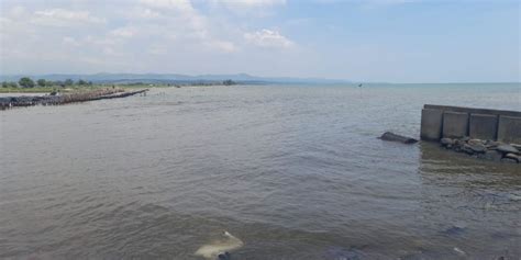 Ancaman Tenggelamnya Wilayah Di Pesisir Utara Jawa Tengah JEO Kompas
