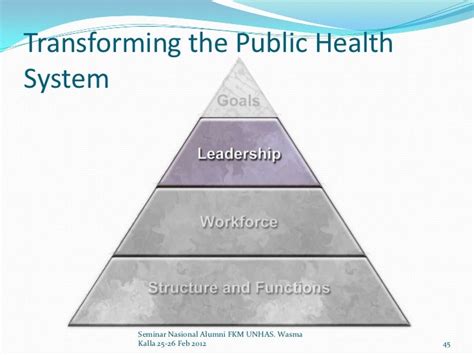 Public Health Leadership And Mdg
