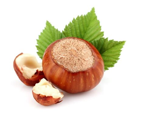 Sohati كل ما يجب ان تعرفوه عن زبدة البندق