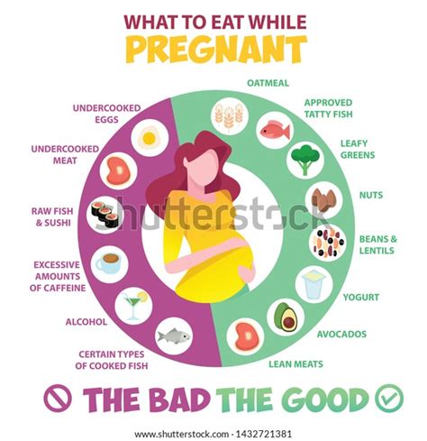Pregnant Woman Diet Infographic Food Guide Stock Vector Royalty Free