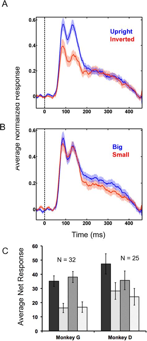 Overall Anova Results A Upright Compared To Inverted Faces Download Scientific Diagram