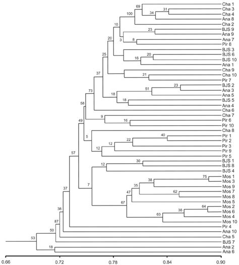 Unweighted Pair Group Method With Arithmetic Average Dendrogram Based