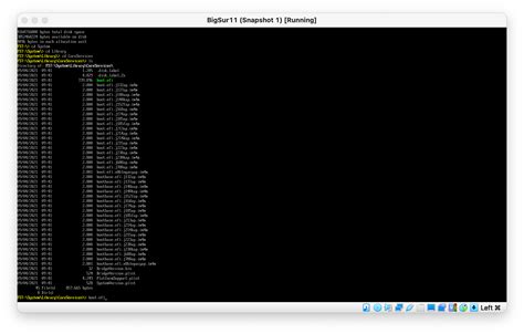 Virtualization How To Disable Sip When Big Sur Or Later Macos Is Installed In A Vmware Fusion