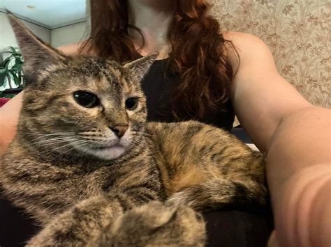 Kitty Bit Games And Cosplay~ On Twitter This Face Screams