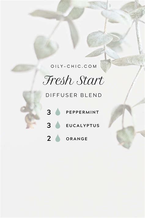 Refreshing Eucalyptus Diffuser Blends