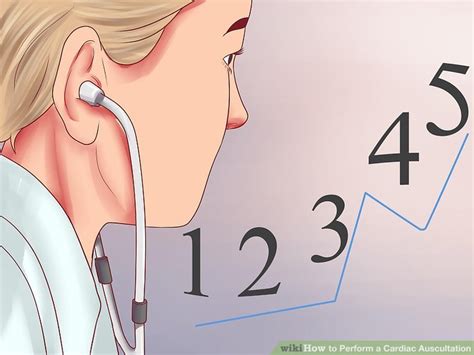 How To Perform A Cardiac Auscultation Steps With Pictures