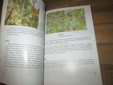 Sakupljanje ljekovitog bilja gljiva i puževa Kupindo 67062193