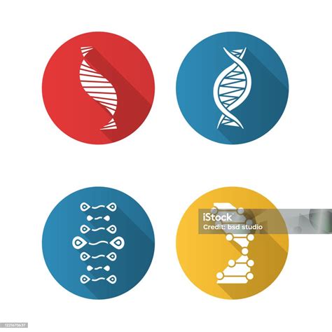 Dna 鏈平面設計長陰影字形圖示設置去氧核糖核酸核酸螺旋螺旋鏈染色體分子生物學遺傳密碼遺傳學向量輪廓圖向量圖形及更多互聯網圖片 Istock