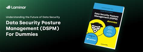 Data Security Posture Management Dspm For Dummies