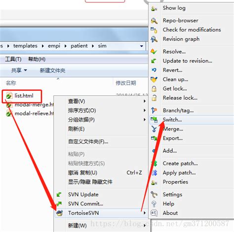 Tortoise Svn小乌龟 单文件回滚tortoisesvn19 回滚某个文件夹 Csdn博客