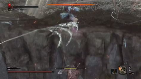 Bro Bonked Me Off The Ledge R Sekiro