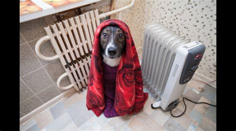 Как вернуть деньги за некачественные услуги ЖКХ и получить максимальную компенсацию