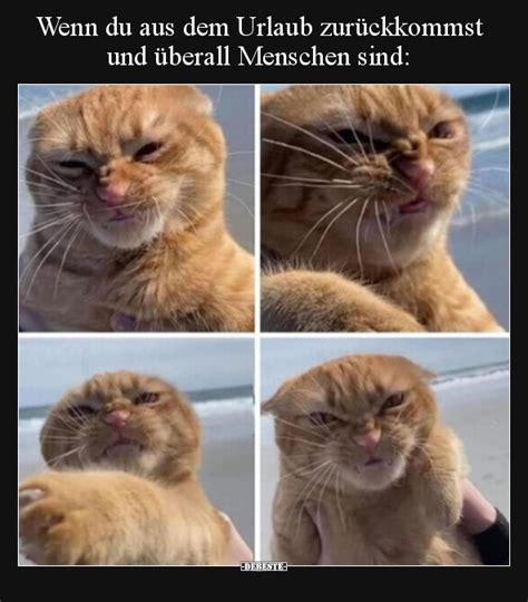 Neue Bilder Und Memes Aus Dem Urlaub Lustig Kostenlos Debestede