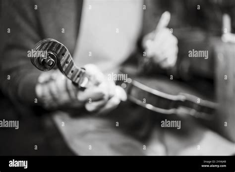 Luthier Holding And Examining The Scroll Of A Handmade Violin During The Crafting Process In His
