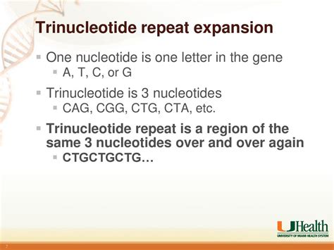 Genetics Of Myotonic Dystrophy Ppt Download