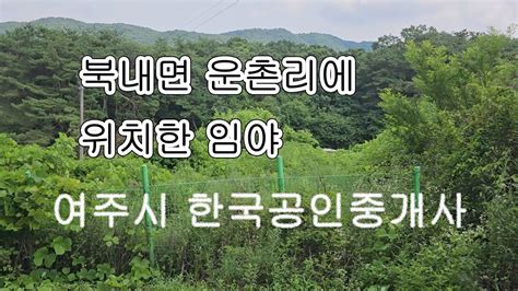 여주한국부동산 18 여주시 북내면 운촌리 임야 Youtube