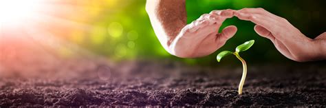 Alabama Agriculture And Industries Plant Protection