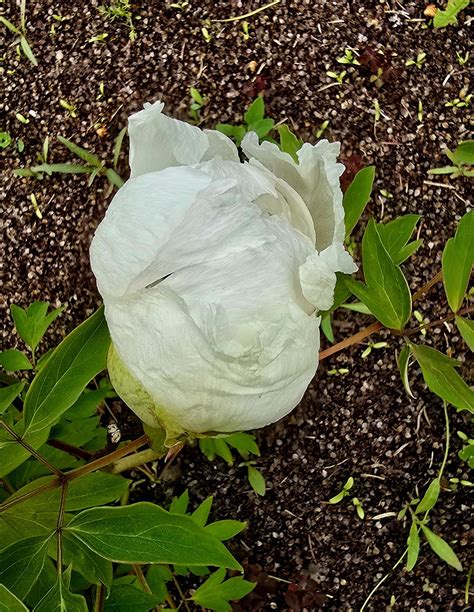 Valerijus Rudzinskas Valerijus Rudzinskas Akimirkos