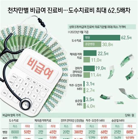 그래픽뉴스 뉴스1