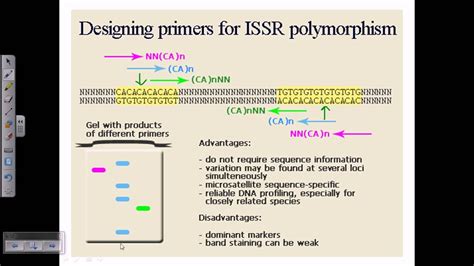 Sequence Markers Definition And Examples At Milla East Blog
