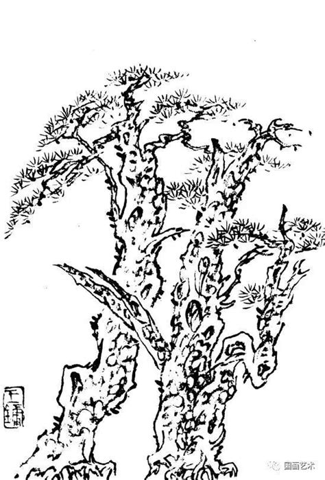 百树大全 百树图片 刺百树图片 大山谷图库