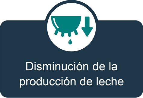Contrarresta El Virus De La Diarrea En Bovinos
