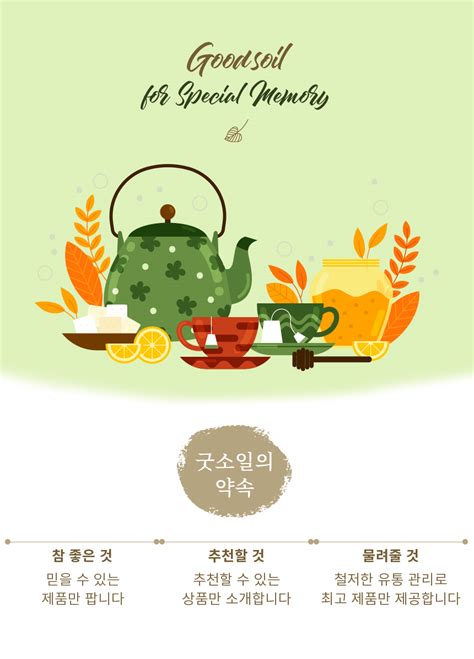 류충현장인 국내산 말린 눈꽃동충하초 버섯 먹는법 원물 건재 600g 홈플러스 택배배송