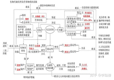 高中生物 知识点思维导图重点知识汇总！ 知乎