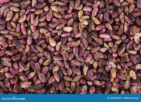 Raw Pistachios Bulk Organic Pistachio Pistachio Siirt Pistachio Urfa